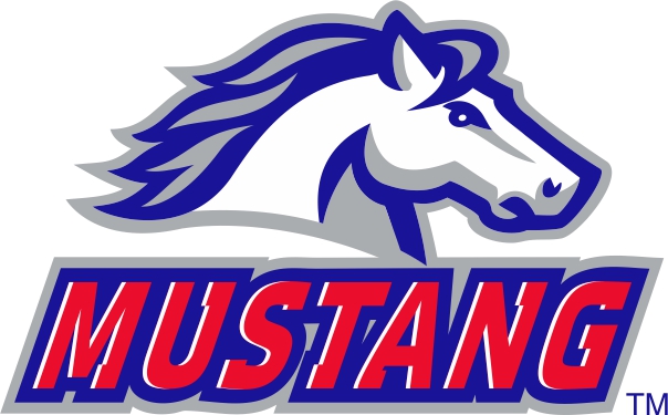 Recreational Leagues