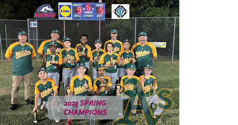 Home [garnerbaseball.com]